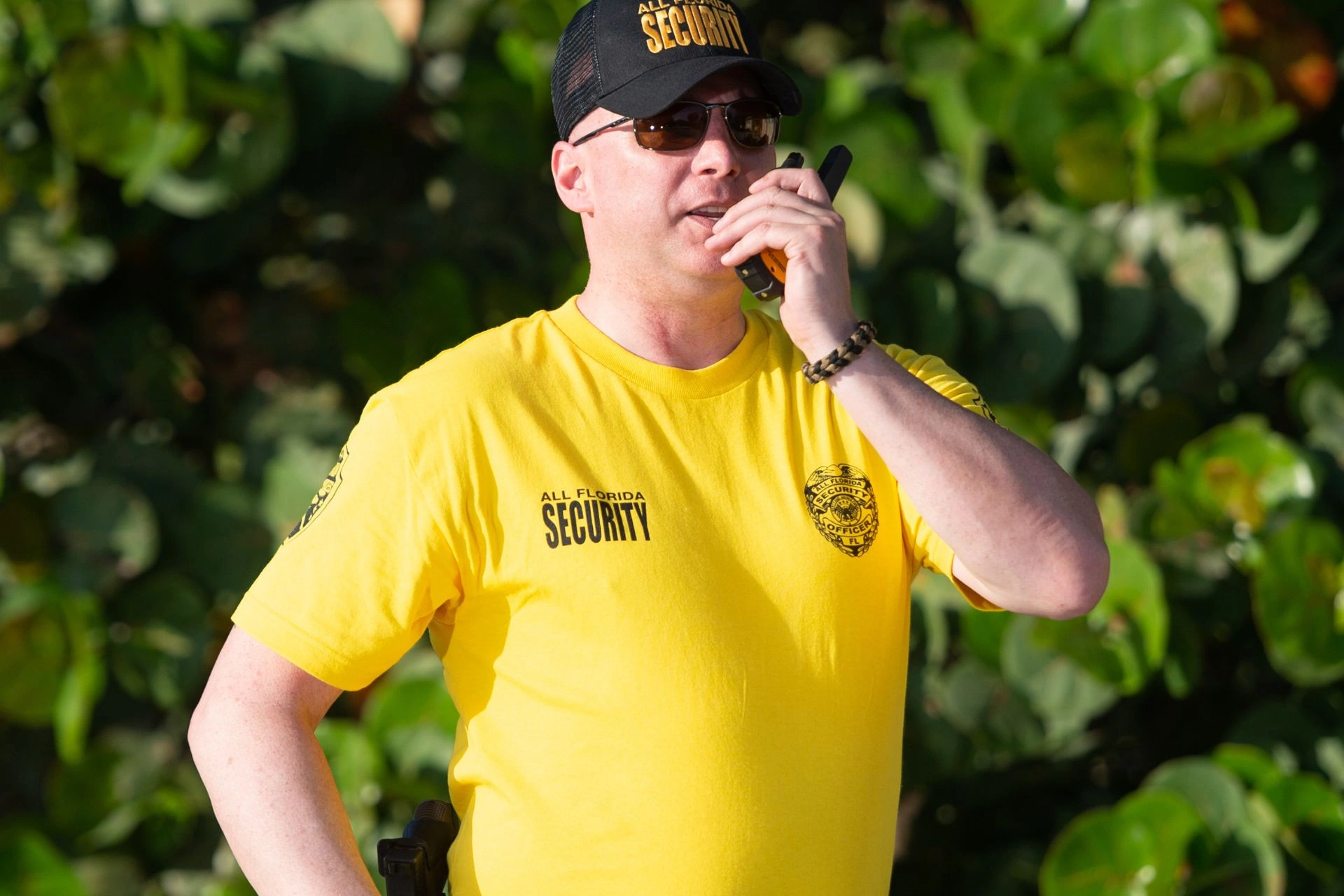 Class D License in Pompano, FL